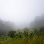 Lope National Park, Gabon | Wildlife safaris, tented camps, Mandrills,