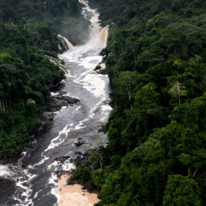 Ivindo National Park | Nature camps, wildlife safaris, natural wonders ...